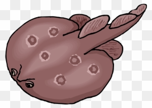 Stingray - Cartoon - Free Transparent PNG Clipart Images Download