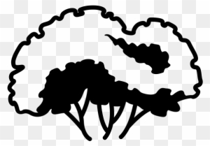 Pre Construction Consulting For Tree Protection Zones - Silhouette ...