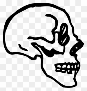Skeleton Side Profile Png