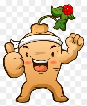 Asian Ginseng Cartoon Drawing Animation - Ginseng Character - Free ...