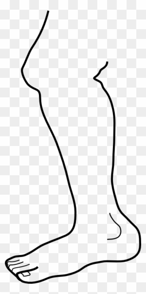 Leg B W Clipart - Leg Clip Art Black And White - Free Transparent PNG ...