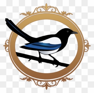 Kj Charles - Magpie - Free Transparent PNG Clipart Images Download