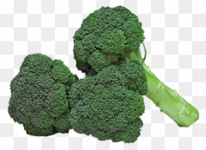 Broccoli Crowns - Broccoli - Free Transparent PNG Clipart Images Download