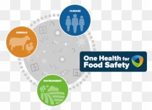International Food Safety Network Health - Safe Food Safe Life - Free ...