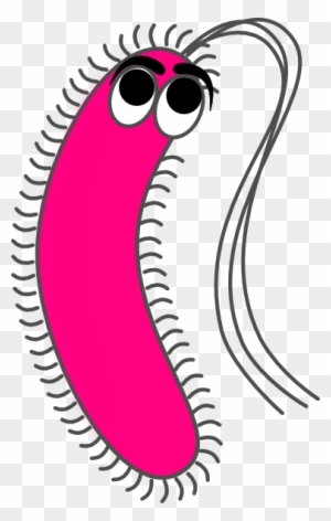 Gram Clipart, Transparent PNG Clipart Images Free Download - ClipartMax