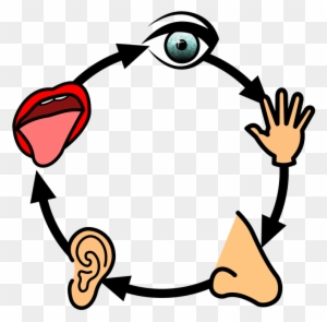 Sensory Clipart, Transparent PNG Clipart Images Free Download - ClipartMax