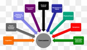 Multifaceted Fig2 - Risk Factors Of A Concussion - Free Transparent PNG ...