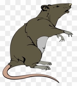 Dead Rat Clip Art - Free Transparent PNG Clipart Images Download