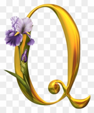 Tube Alphabet - Beautiful Alphabet Q - Free Transparent PNG Clipart ...