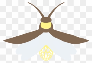 Firefly Transparent Background - Transparency - Free Transparent PNG ...