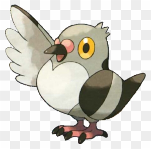 It Will Know Either The Plus Or Minus Abilities - Black And White Bird ...