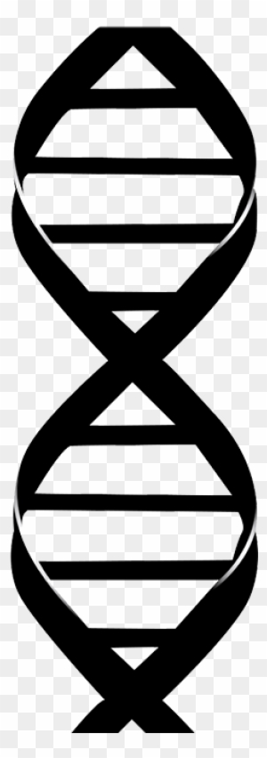 Dna Drawing Cartoon - Dna Drawing Cartoon - Free Transparent PNG ...