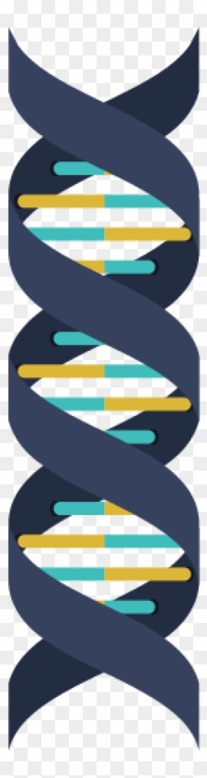 Dna Structure Clipart, Transparent PNG Clipart Images Free Download ...