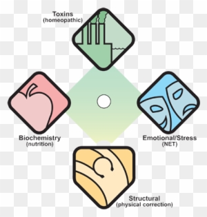 Net Mind-body Stress Relief - Neuro Emotional Technique - Free ...