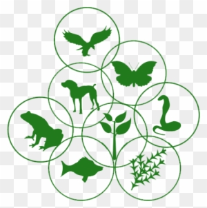 Ian Symbol Urban Sprawl - Urban Sprawl Easy Drawing, clipart ...