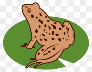 Frog Splat Icon - Frog Png Icon - Full Size PNG Clipart Images Download