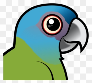 About The Blue-headed Macaw - Blue Headed Mini Macaw - Free Transparent ...