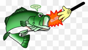Slap - Slap The Bass Fish - Free Transparent PNG Clipart Images Download