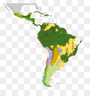 South America Clip Art, Transparent PNG Clipart Images Free Download ...