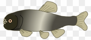Gomoku Minnow - Storm Gomoku Logo - Free Transparent PNG Clipart Images ...