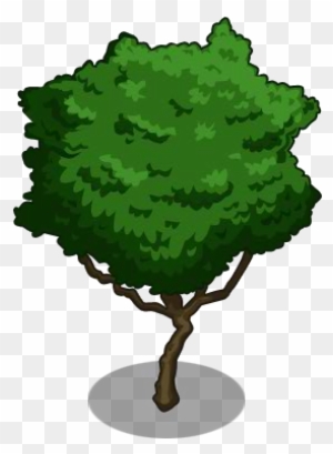 Guava Tree1-icon - Guava - Free Transparent PNG Clipart Images Download