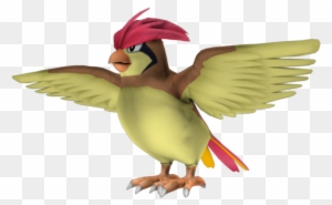 017 Pidgeotto By Bogeymankurt - 3d Flying Pokemon Png - Free ...