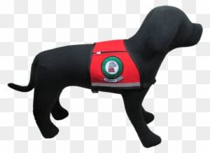 "ask To Pet Me - Service Dog - Free Transparent PNG Clipart Images Download