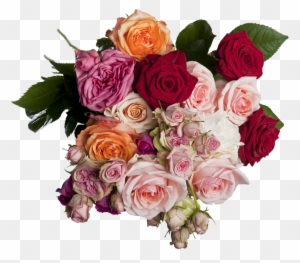 Isolated, Roses, Bouquet, Multi Coloured, Romantic - Roses Bouquet Png ...