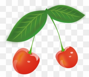 Cherry - Gambar Buah Cherry Merah - Free Transparent PNG Clipart Images ...