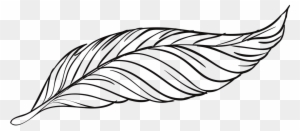 Bird Goose Feather - Feather Drawing Png - Free Transparent PNG Clipart ...