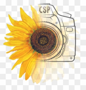 Join Me On Facebook - Photography - Free Transparent PNG Clipart Images ...
