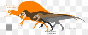 Posted Image - Tarbosaurus Vs Tyrannosaurus Size - Free Transparent PNG ...