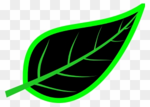 Perimeter - Free Transparent PNG Clipart Images Download