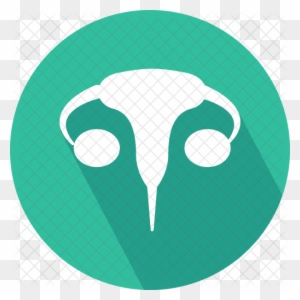 Female Icon - Female Reproductive System - Free Transparent PNG Clipart ...