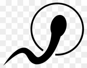 Png File Svg - Male Reproductive System Icon - Free Transparent PNG ...