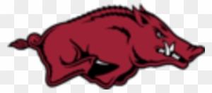 University Of Arkansas Razorback - Free Transparent PNG Clipart Images ...
