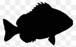 Fish-1739110 960 - Fish Silhouette Transparent Background - Free ...