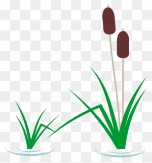 Cattails Clipart, Transparent PNG Clipart Images Free Download - ClipartMax