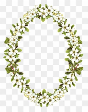 Oval Frame Clipart, Transparent PNG Clipart Images Free Download ...