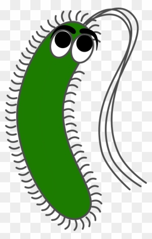 Miscellaneous - Gram Negative Bacilli Cartoon - Free Transparent PNG ...
