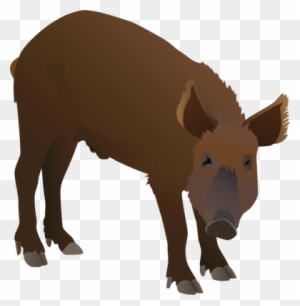 Drawn Boar Animation - Wild Boar Animation Reference - Free Transparent ...