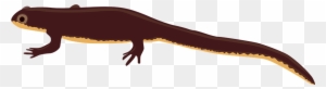 Newt Clipart - Newt Clipart Png - Free Transparent PNG Clipart Images ...