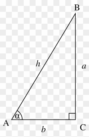 Trigonometry Right Triangle Mathematics Essay - Trigonometry Right ...