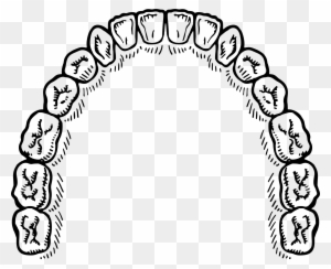 Chattering Teeth Vector - Chatter Teeth Png - Full Size PNG Clipart ...