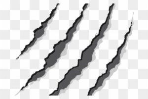 Wildcat Clipart Panther Claw - Transparent Background Claw Marks - Full ...