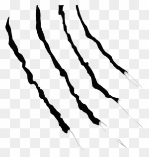 Panther Claw Scratch