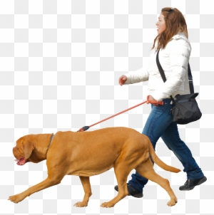 Dog Walking Images Clip Art, Transparent PNG Clipart Images Free ...