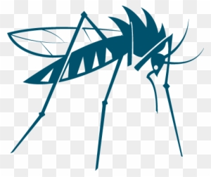 Insect Transparent Mosquito - Free Transparent PNG Clipart Images Download