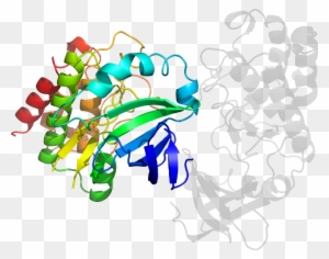 D5zw3a In Context Of Pdb - Graphic Design - Free Transparent PNG ...