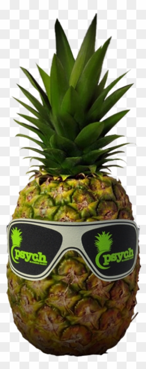 Psych Show Logo Pineapple Download - Psych Pineapple - Free Transparent ...